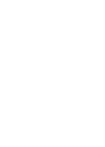 Commitment Community Church | A Place For All Nations